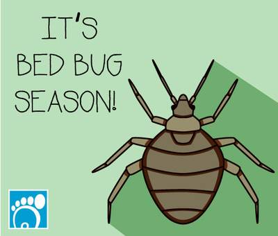 It’s Bed Bug Season! | Training & eTracking Solutions